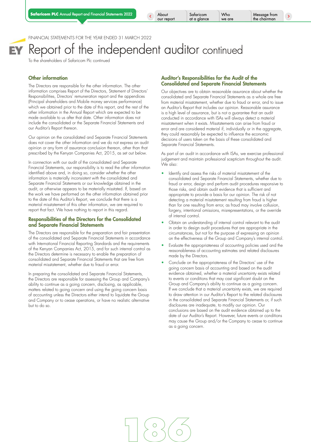 4.4 Financial Statements Audit and Sustainability Assurance | IFC Beyond the Balance Sheet